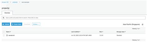 step by step guide of aws elastic container service with images by
