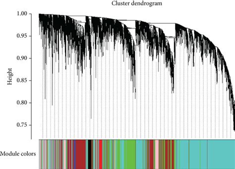 Weighted Gene Coexpression Network Analysis Wgcna A The Cluster