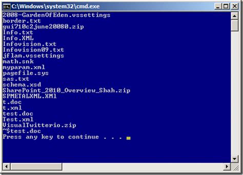 bytes matters wf 4 0 custom code activity [vs 2010 rc]