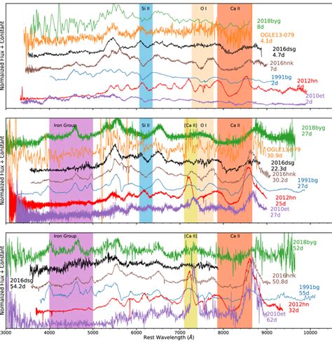 Optical Spectral Comparison Of Sn 2016dsg To Other Thermonuclear Sne