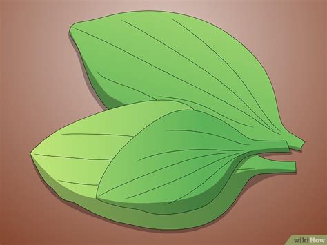 How To Get Rid Of Acne Scabs Fast 10 Effective Ways