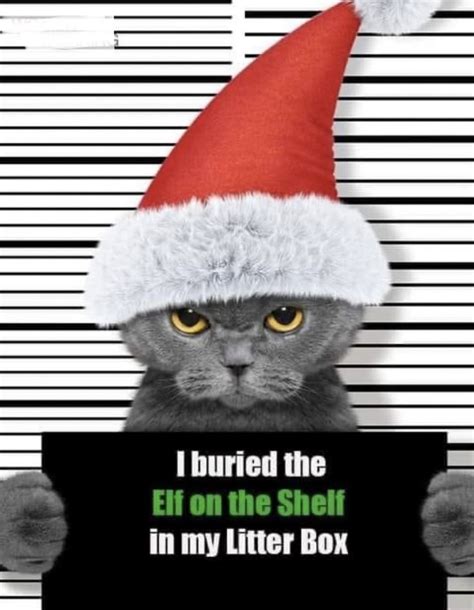 Scoop This Meme By Oldabninf508pir Memedroid