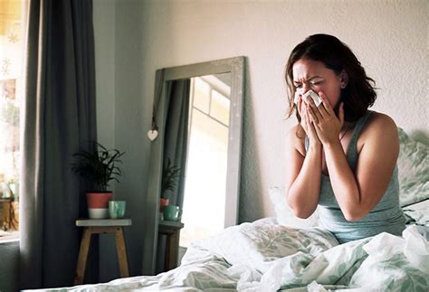 Air Conditioning And Allergens Alliance Climate Control