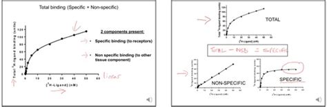 9 Radioligand Binding 1 Flashcards Quizlet