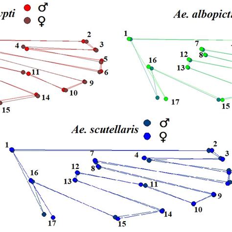 Shape Variations Between Sexes After Procrustes Superimposition Of 17