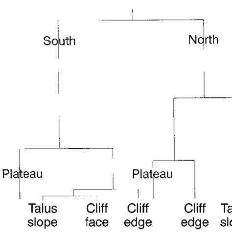 Cluster Analysis Dendrogram Of Bird Species Composition Among 46 Plots