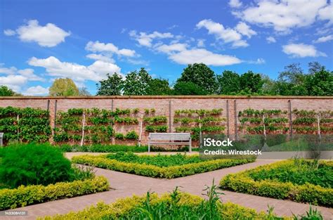 화창한 날에 식물과 하얀 벤치가있는 공원의 경치 좋은 전망 0명에 대한 스톡 사진 및 기타 이미지 0명 경관 공원 Istock