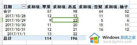 Wps数据透视表如何多个行标签并列显示 Wps数据透视表多个行标签并列显示教程 Windows系统之家