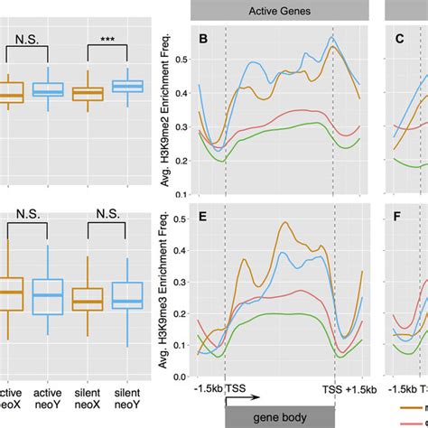 Heterochromatin Evolution On The D Busckii Neo Y Shown Is The