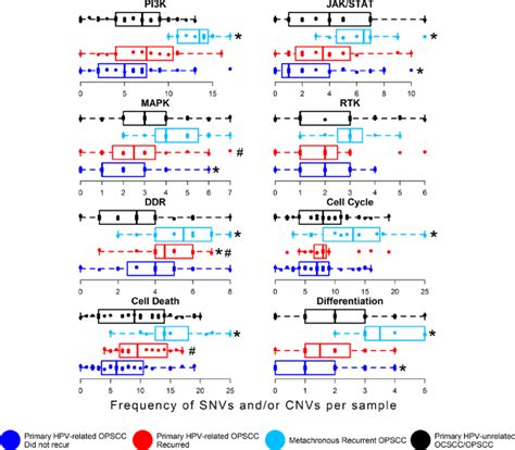 Analysis Of Key Gene Alterations Grouped By Biological Function Download Scientific Diagram