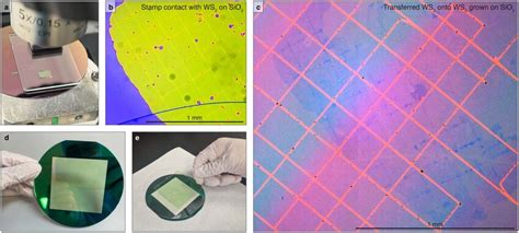 Scalable Laminate Stamping Transfer A Pickup Of Tmd From Growth