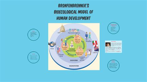Bronfenbrenner's Bioecological Model of Human Development by Abirami ...