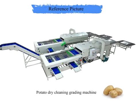 Cleaning And Grading Potatoes Potato Sorting Machine Potato Sorting