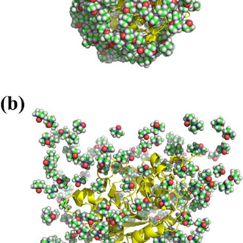 Radial Distribution Function Between Atoms Of Tmao And Calb In Hexane Download Scientific