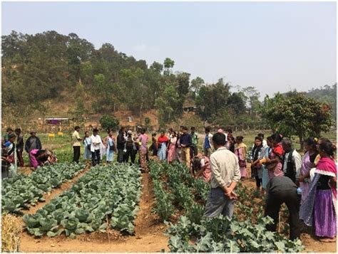 KIRAN Empowering Agricultural Knowledge And Innovation In North East