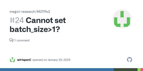 Cannot Set Batchsize1 · Issue 24 · Megvii Researchmotrv2 · Github