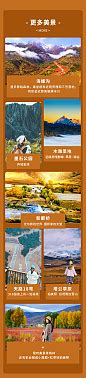 暑促 人团商务车旅拍网红民宿成都到稻城亚丁旅游 天 晚 人可拍 旅游度假 飞猪