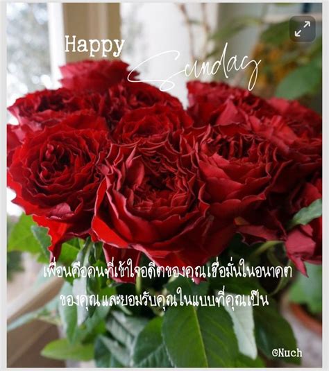 Anoosara P Adlı Kullanıcının สวัสดีวันอาทิตย์ Panosundaki Pin