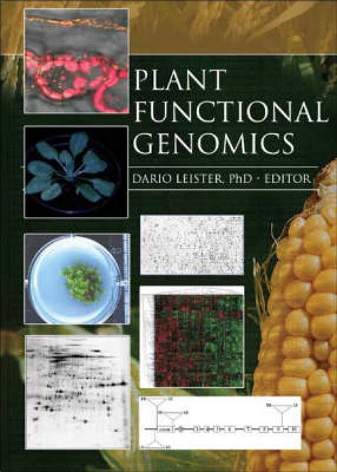 Plant Functional Genomics Nhbs Academic And Professional Books