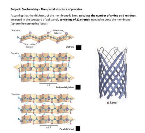 Solved Subject Biochemistry The Spatial Structure Of Chegg