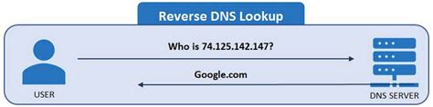 reverse dns lookup what it is and how to set it up unspam