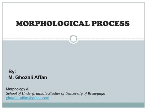 Morphological Process Ppt