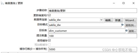 Etl第八章实践项目——构建dvd租赁商店数据仓库（sakila样本数据库）构建dvd租赁商店数据仓库实训 Sakila数据库建立 Csdn博客