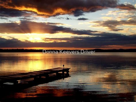Meditation 2 By Donna Keevers Driver Redbubble