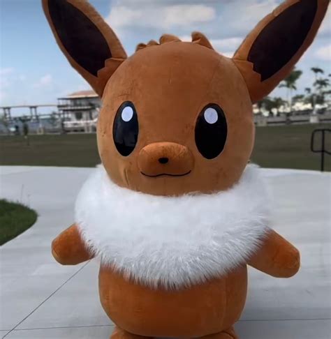 Anime Pokemon Eevee Pikachu Inflatable Flareon Costume 43 Off