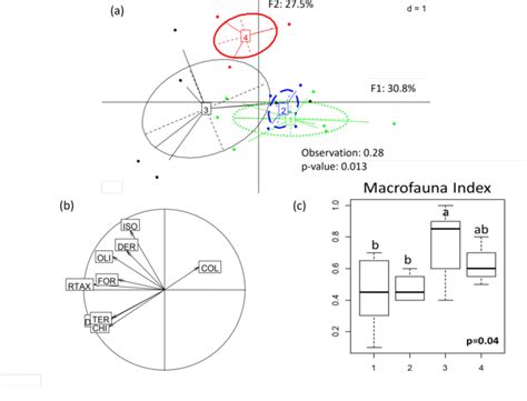 Projection Of A Plots And Groups And B Variables In The Factorial