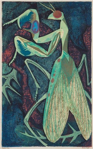 Eileen Mayo Dbe 1906 1994 Wiki Eileen Mayo Bug Art Illustration