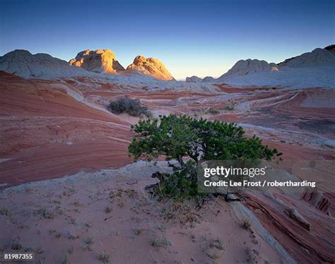 Crag Arizona Photos And Premium High Res Pictures Getty Images