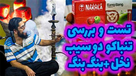 تست و بررسی تنباکو دو سیب🚭ترکیب تنباکو دوسیب نخل و بنگ بنگ🚭راهکار های