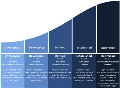 Pmo Self Assessment Tool Scope Works
