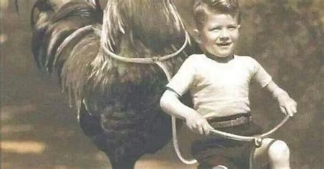 Insert Clever Title Here Imgur Insert Clever Title Here Imgur