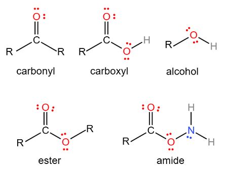 Functional Groups Carboxyl