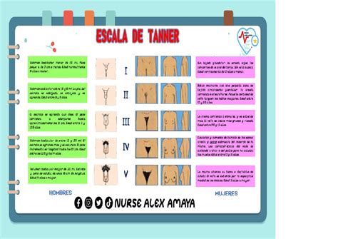 Escala De Tanner Ecelente Escala De Tanner Hugse Alex Amaya Volumen