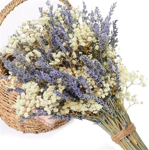 Large Bunch Provence Lavender Flowers Dried Flower Bouquet 300 Stems