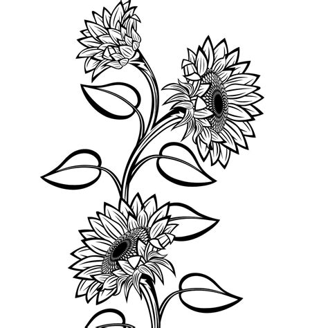 Sunflower Clipart Black And White Vector At Jessica Laurantus Blog