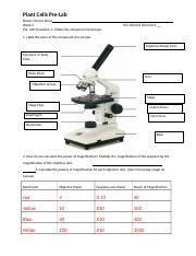 Pre Cells Lab Week 1 Docx Plant Cells Pre Lab Name Marcos Perez Week 2 Pre Lab Procedure 1