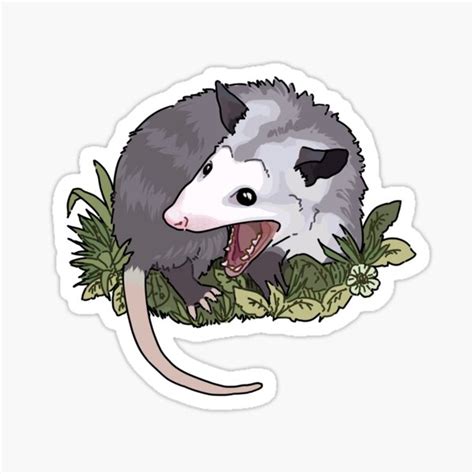 Cute Possum Stickers For Sale