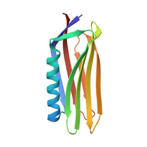 Rcsb Pdb 9kgy Crystal Structure Of A De Novo Designed Monomeric Mainly Beta Protein B10