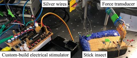 Cyborg Insects Update 2 Metadevo