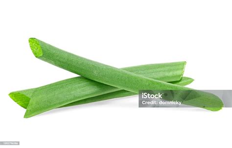 흰색 배경에 고립 된 신선한 녹색 양파를 다진 것 신선한 컷 향신료 0명에 대한 스톡 사진 및 기타 이미지 0명 건강한 식생활 골파 Istock