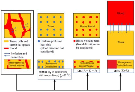 Computational Modeling Of Microwave Tumor Ablation