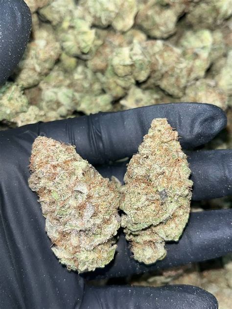 Indulge In Culinary Bliss With Blueberry Muffins Thca Flower Premium