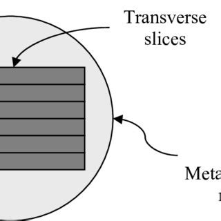 7 Schematic Of Composite Sample Design 71 Download Scientific Diagram