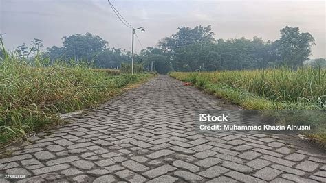 들판과 가로등이 측면에 있는 돌로 포장된 도로는 조용하고 구름 낀 시골 풍경으로 뻗어 있습니다 0명에 대한 스톡 사진 및 기타 이미지 Istock