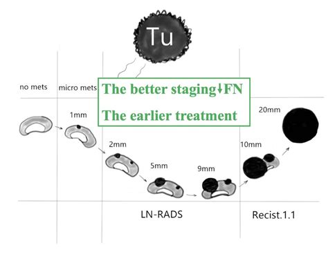 Ln Rads Cases Lymph Node Reporting And Data System Ln Rads